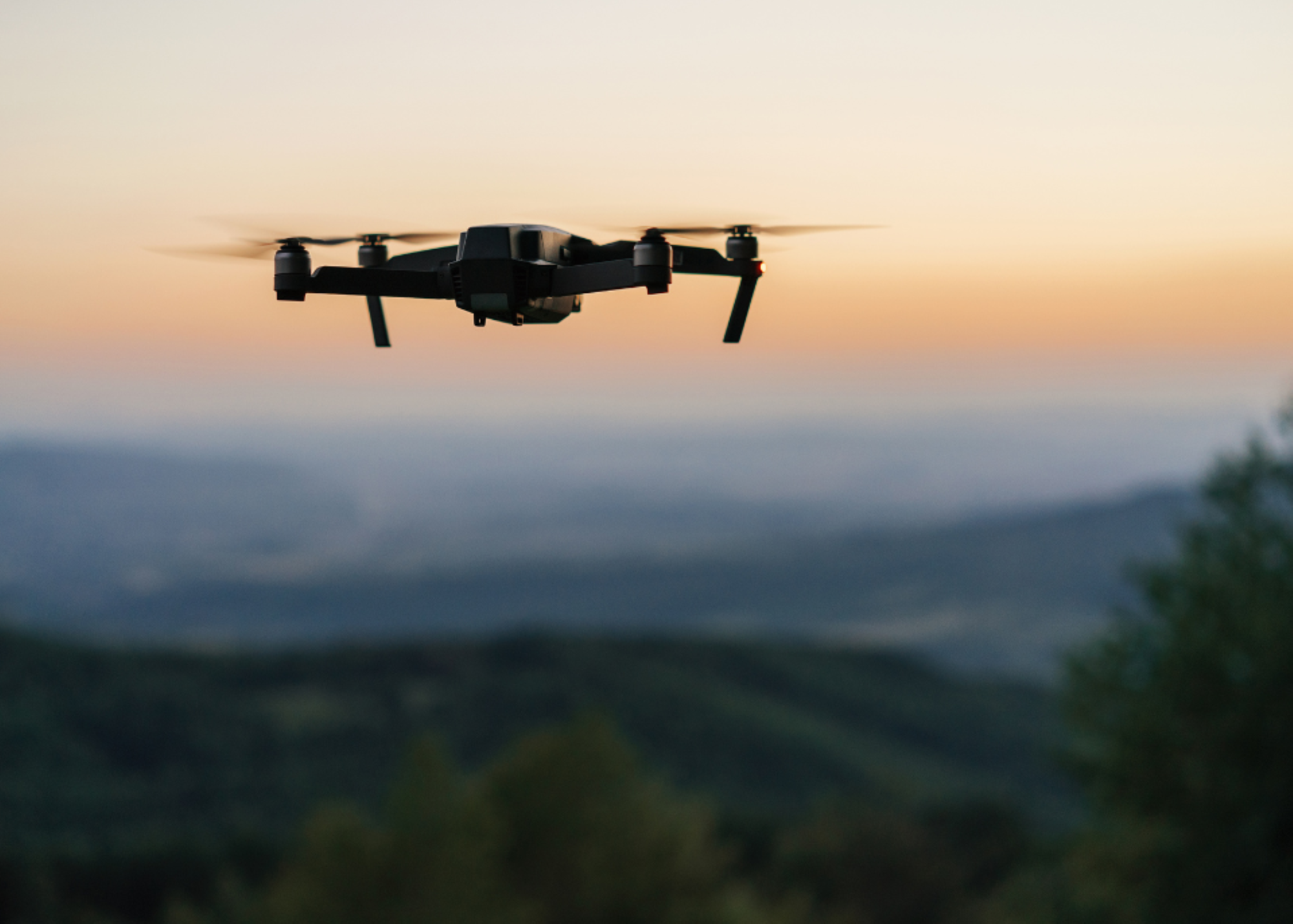 Eyes in the Sky | Friends of ArielFriends of Ariel